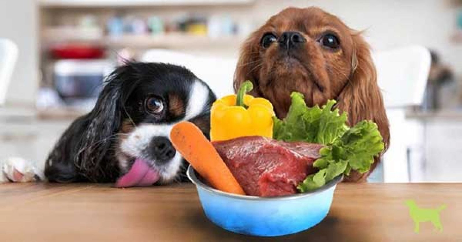 Pets Byte - How to Ensure Safe Foods to Feed your Pets